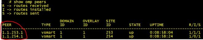 OMP - Cisco Viptela SD-WAN Overlay Management Protocol - Network Rare